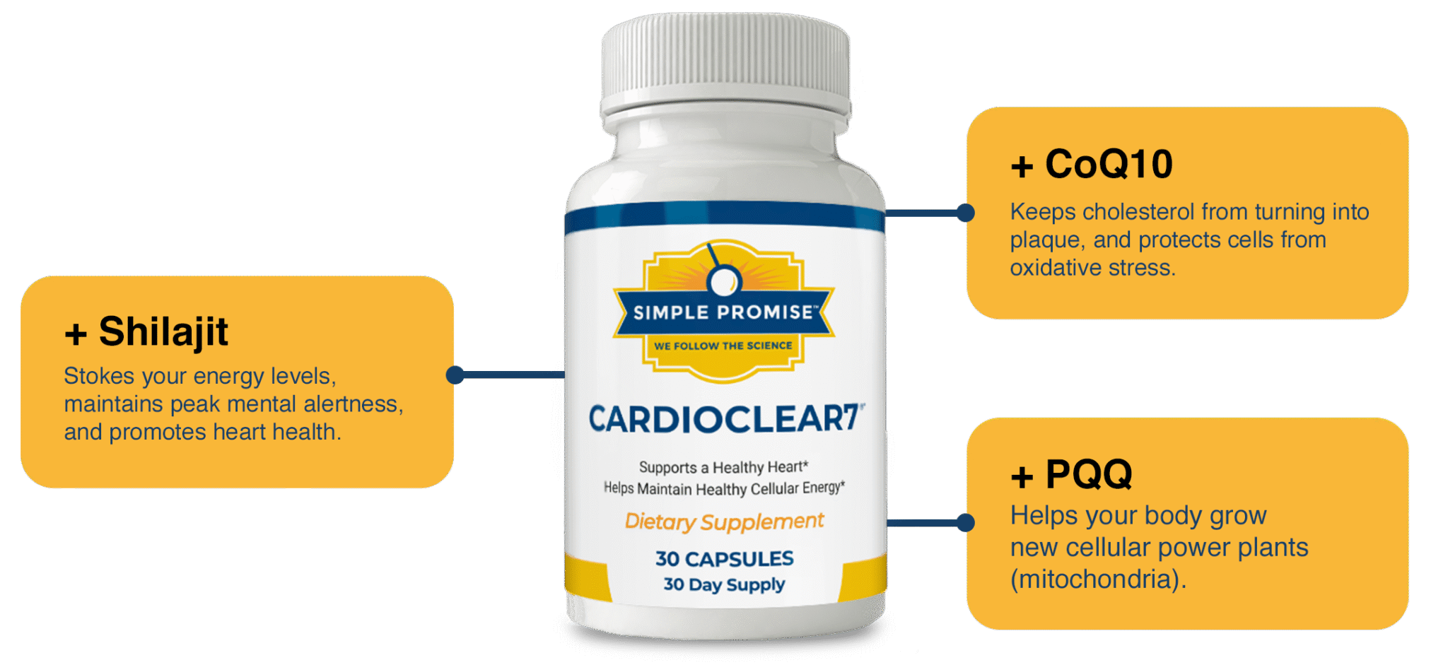 CardioClear7 - CardioClear7™
